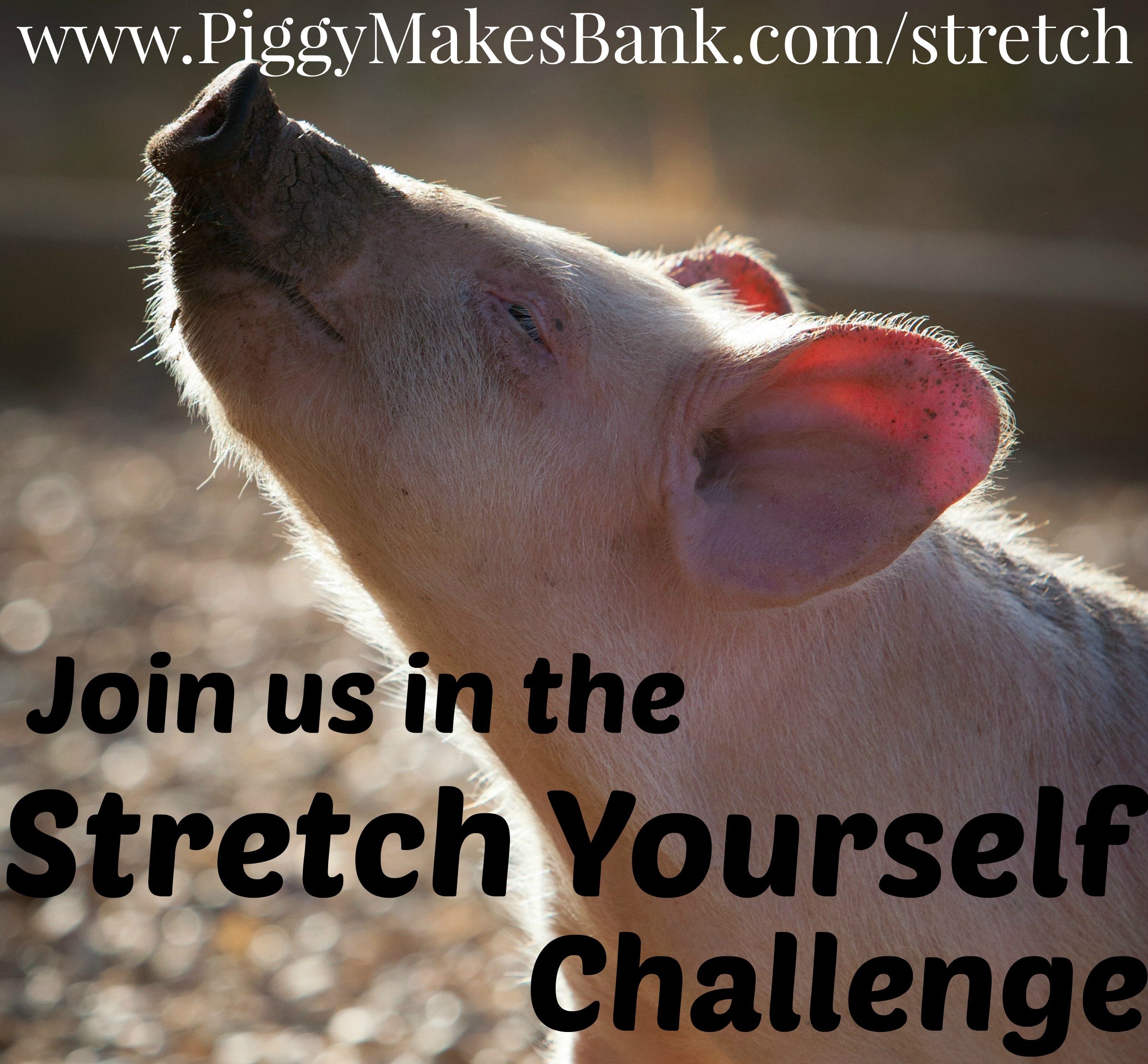 Join Us In The Stretch Yourself Challenge - Piggy Makes Bank