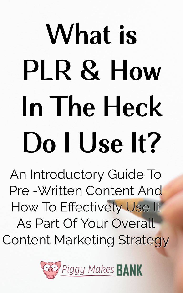What The Heck Is PLR? Guide - Piggy Makes Bank