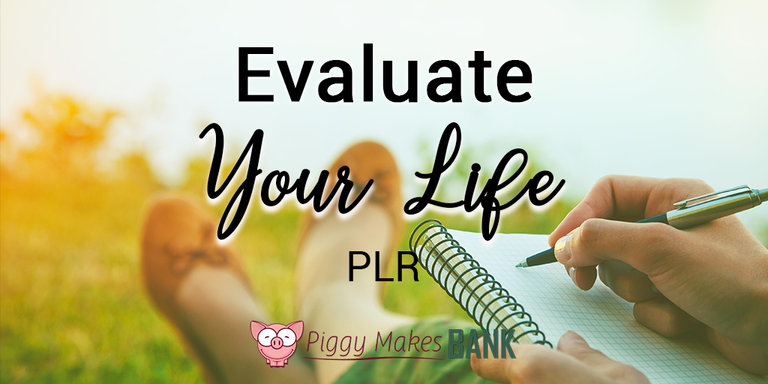 Evaluate Your Life - Piggy Makes Bank