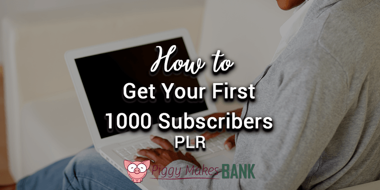 How to Get Your First 1000 Subscribers - Piggy Makes Bank