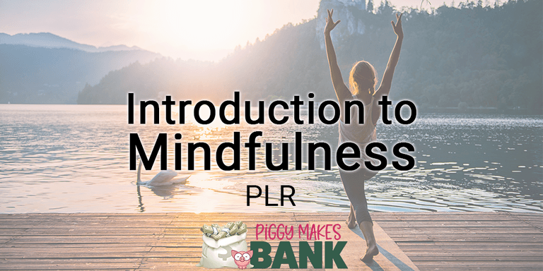 Introduction to Mindfulness - Piggy Makes Bank